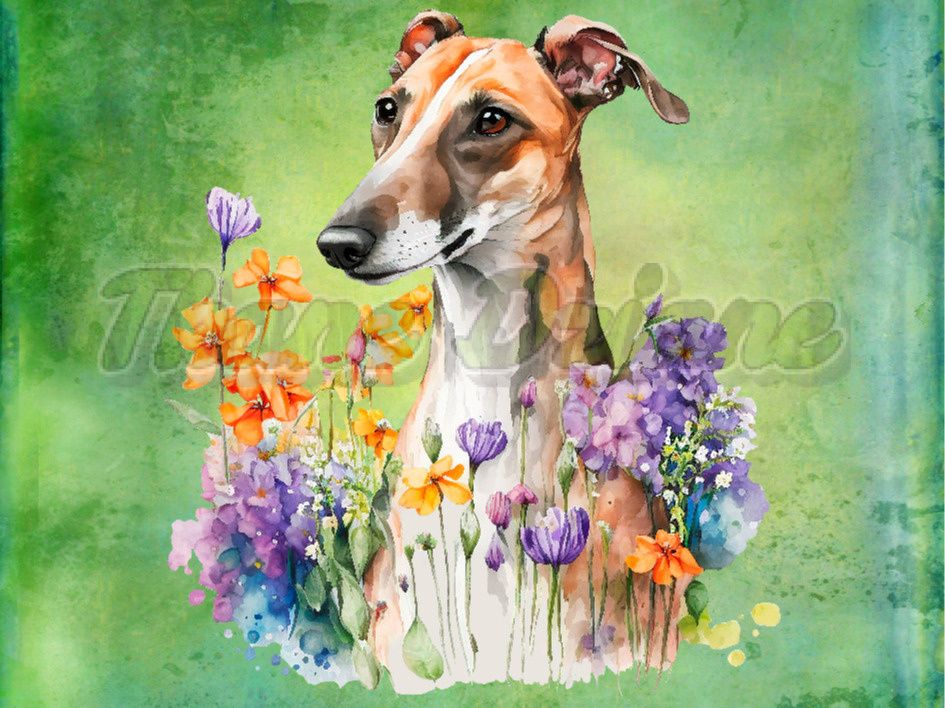 TkaneDziane.pl > PANEL DRUKOWANY WHIPPET CHART GREYHOUND TŁO GREEN NR 3